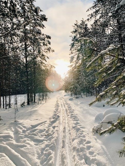 White Pine Trail Map PDF - Download Free Trail Guide